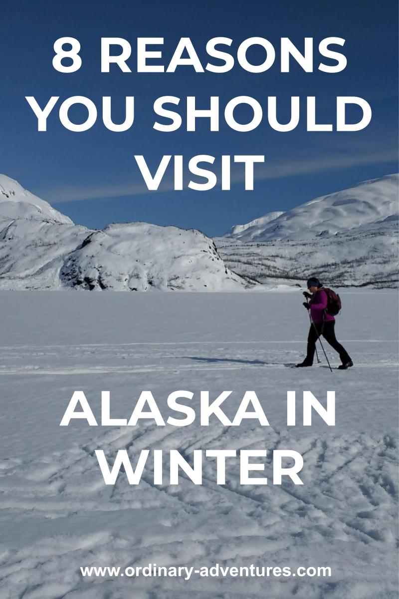 8 Reasons to Visit Alaska in Winter – Top Left Adventures
