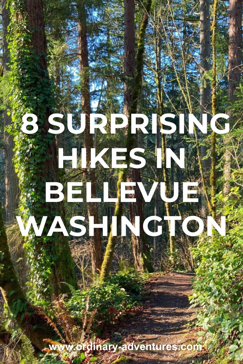 7 Surprisingly Awesome Hikes in Bellevue – Top Left Adventures